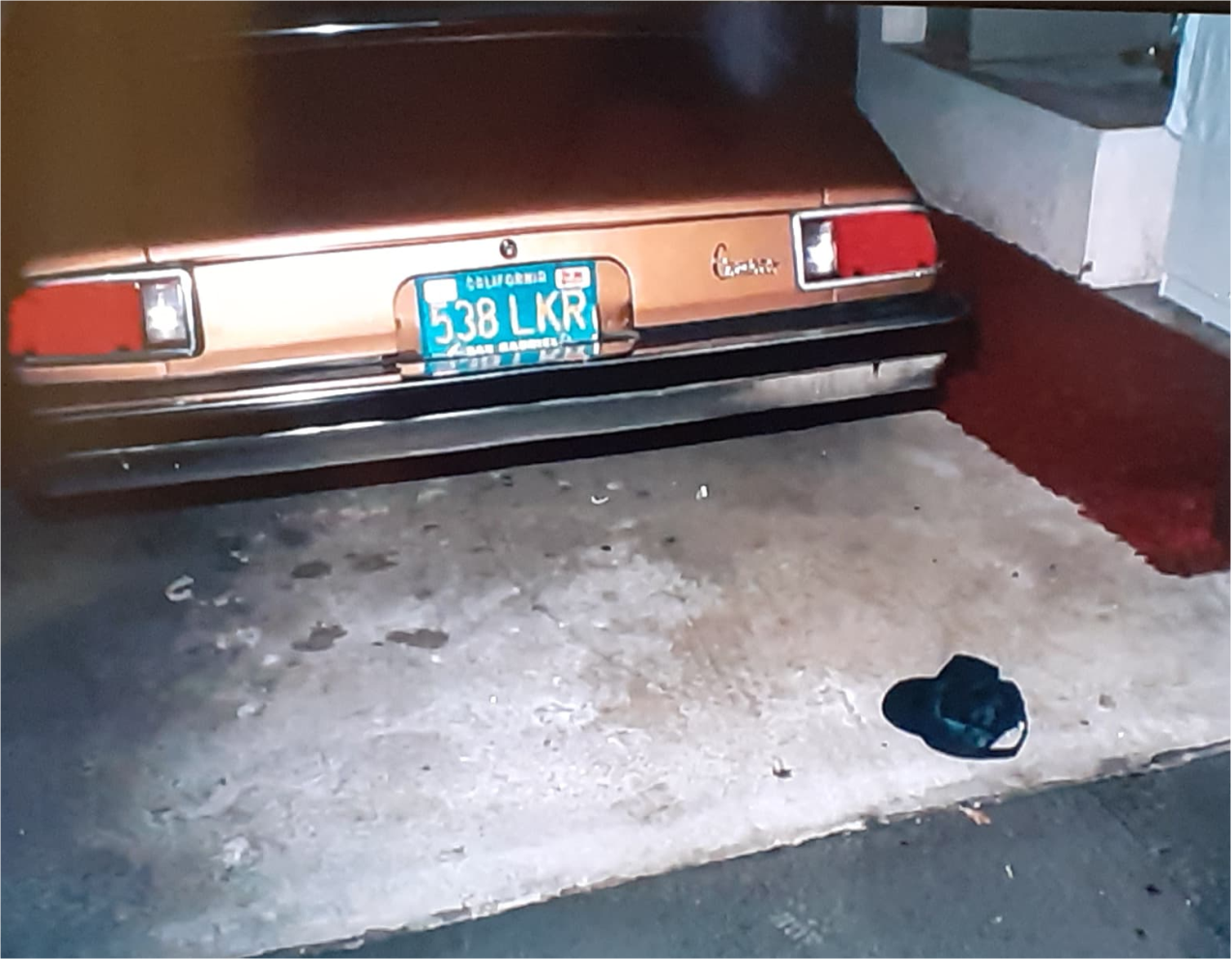 Where it began: The Murder of Dayle Okazaki – Expendable For A Cause.