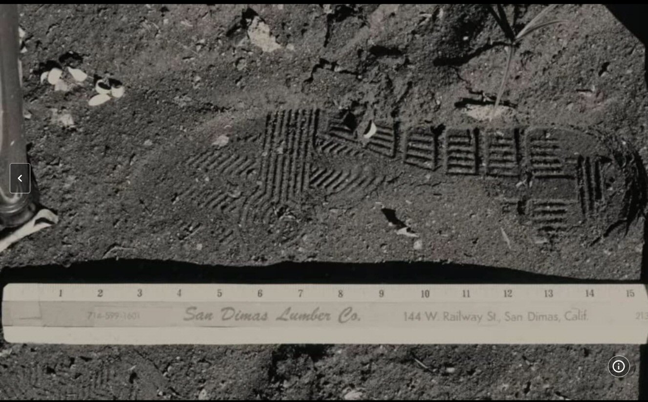 The Zazzara Incident – Expendable For A Cause.