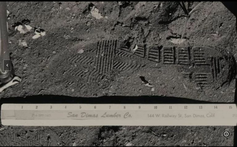 The Zazzara Incident – Expendable For A Cause.